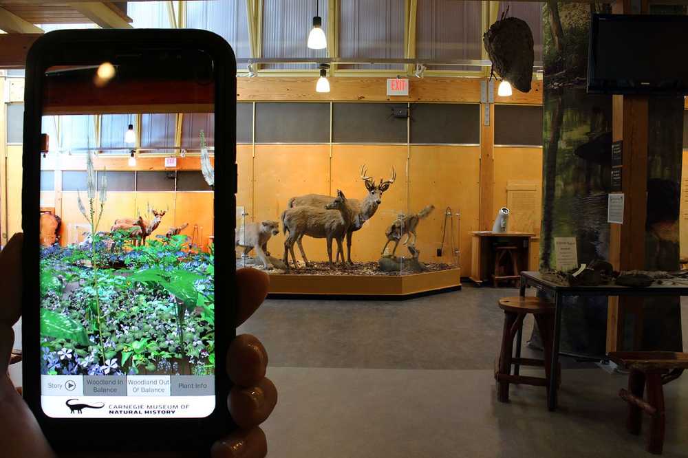 Augmented Reality Brings the Real World into Natural History Dioramas with Data Visualizations ...